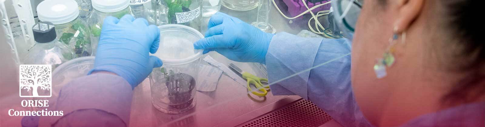 About ORISE - ORISE Connections